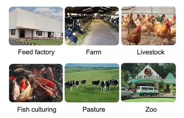 15-20t/h Poultry Feed Production Line - GNEE